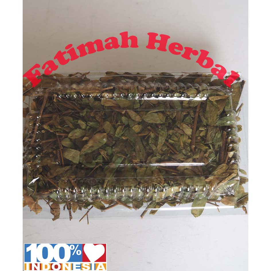 Jual Daun Saga Curah - daun saga kering - 50 gram | Shopee Indonesia