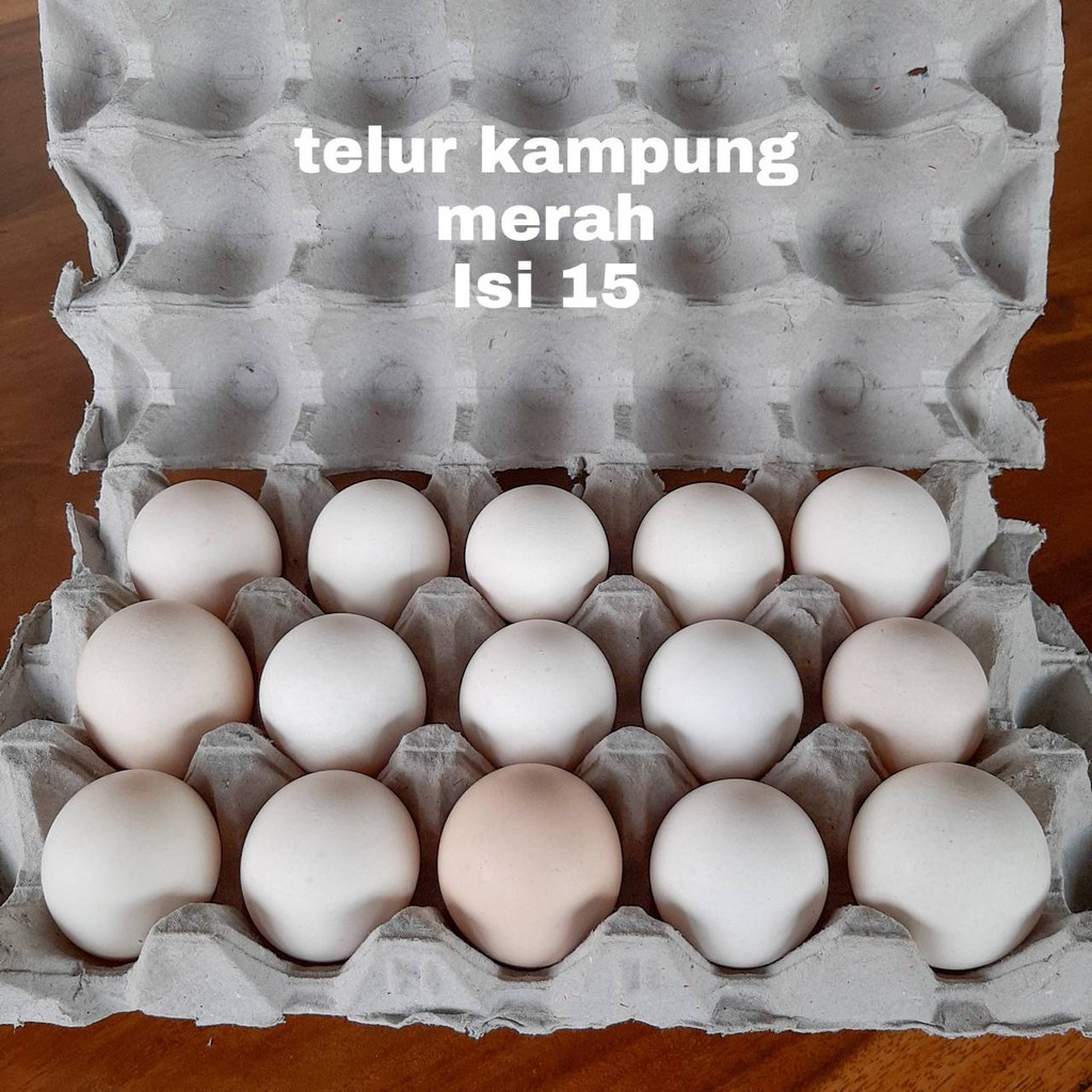 Jual Telur Kampung Merah Isi 15 Butir | Shopee Indonesia
