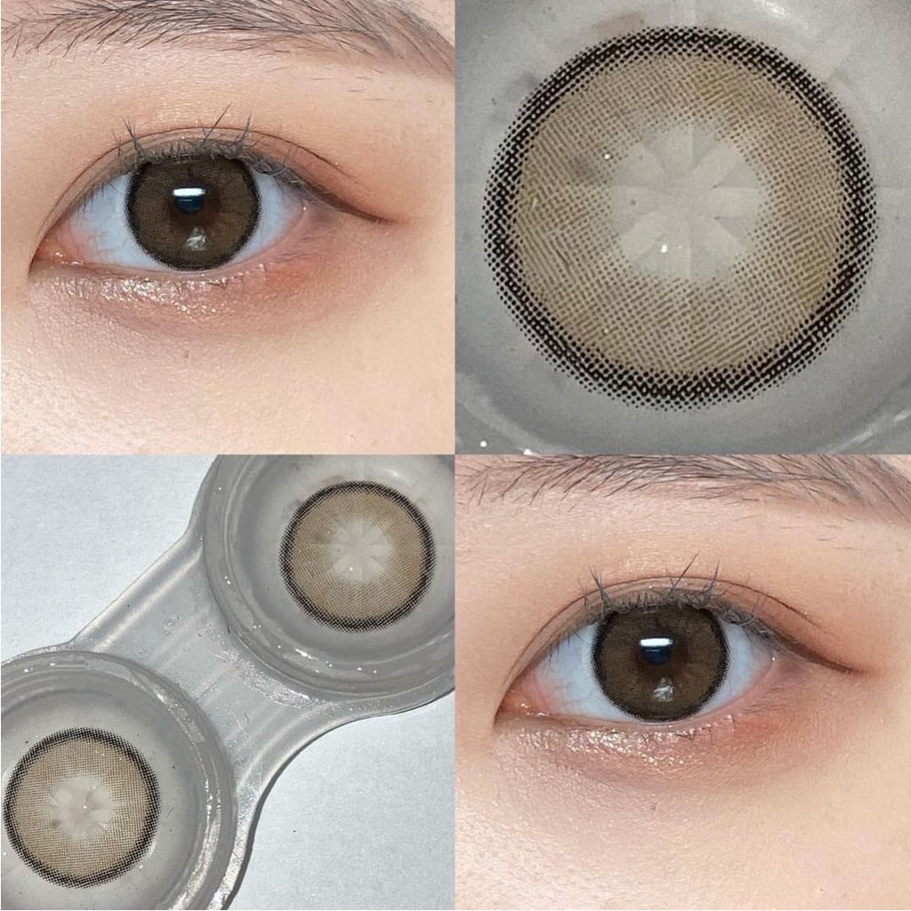 Jual SOFTLENS LOVE ZANE BROWN (Minus Only) / KONTAK LENSA | Shopee ...