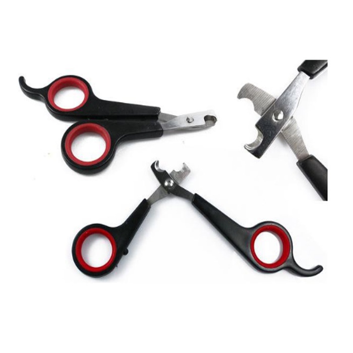 Jual Hewan-Kuku-Gunting- Gunting Kuku Kucing Persia Angora Anggora ...