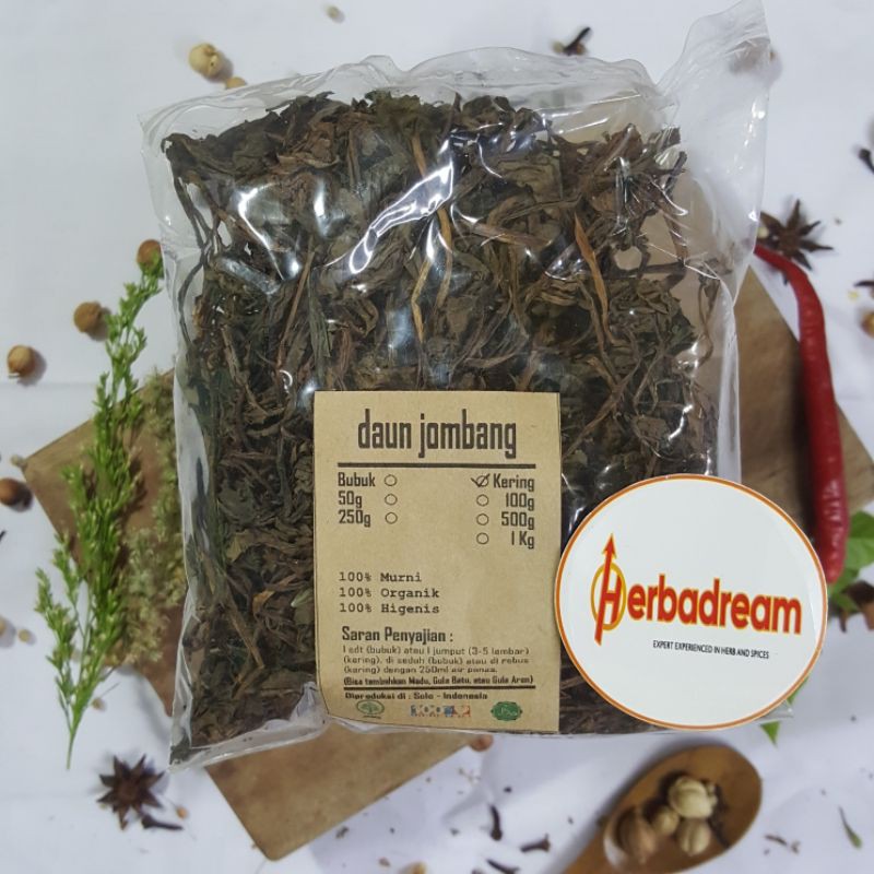 Jual 50 GRAM DAUN JOMBANG TARAXACUM OFFICINALE COMMON DANDELION YINGJUN ...