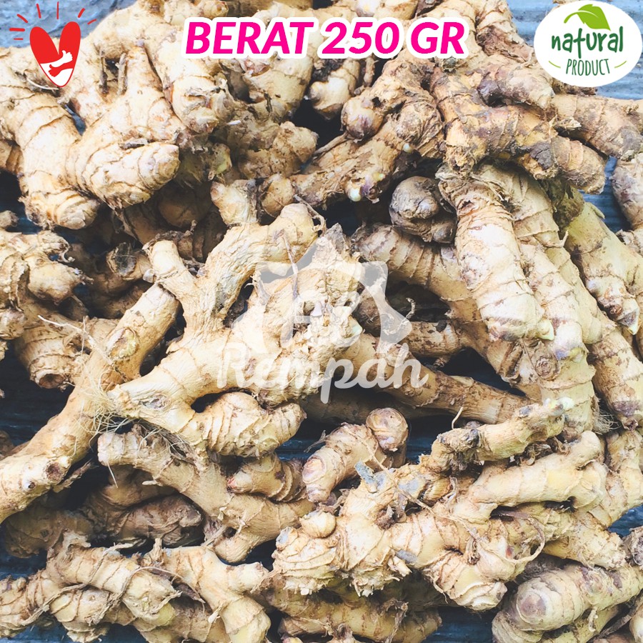 Jual Puyang - Lempuyang Emprit Segar Organik 250 gr - Gunung Kidul ...