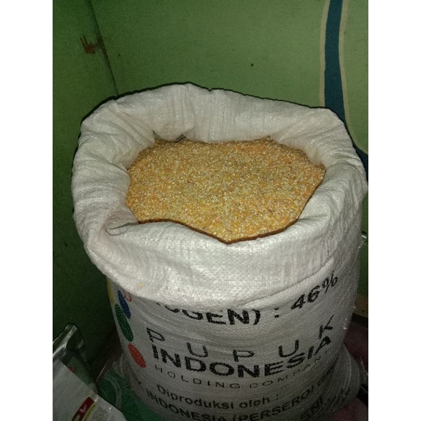 Jual jagung giling / jagung pecah 1kg | Shopee Indonesia