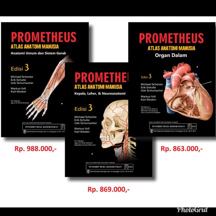 Jual PROMETHEUS ATLAS ANATOMI MANUSIA ed.3 (1 set)- EGC | Shopee Indonesia