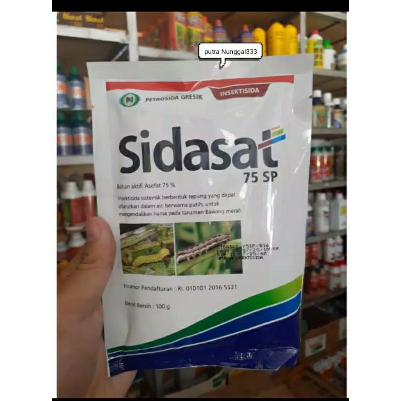Jual obat ulat sidasat 75sp insektisida asepat 100gram dan 500gram obat ...