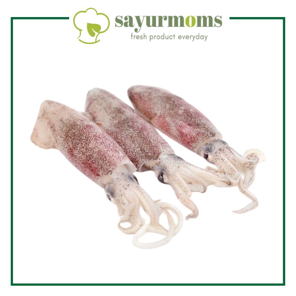 Jual Cumi Segar 500 gram - 1 kg Surabaya | Shopee Indonesia