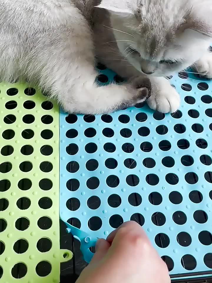 Jual Alas Kandang Kucing Hamster Karpet Karet Interlock Anti Slip ...