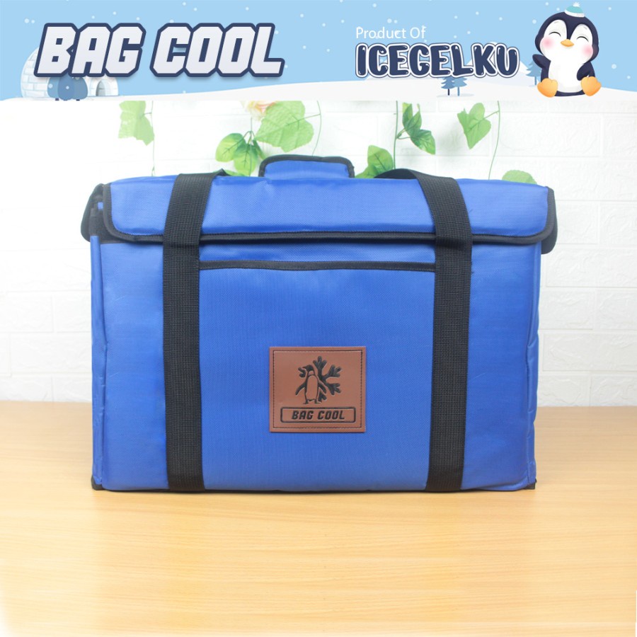 Jual Cooler Bag Besar Tas Ice Cream Box Ice Cream HANYA TAS | Shopee ...