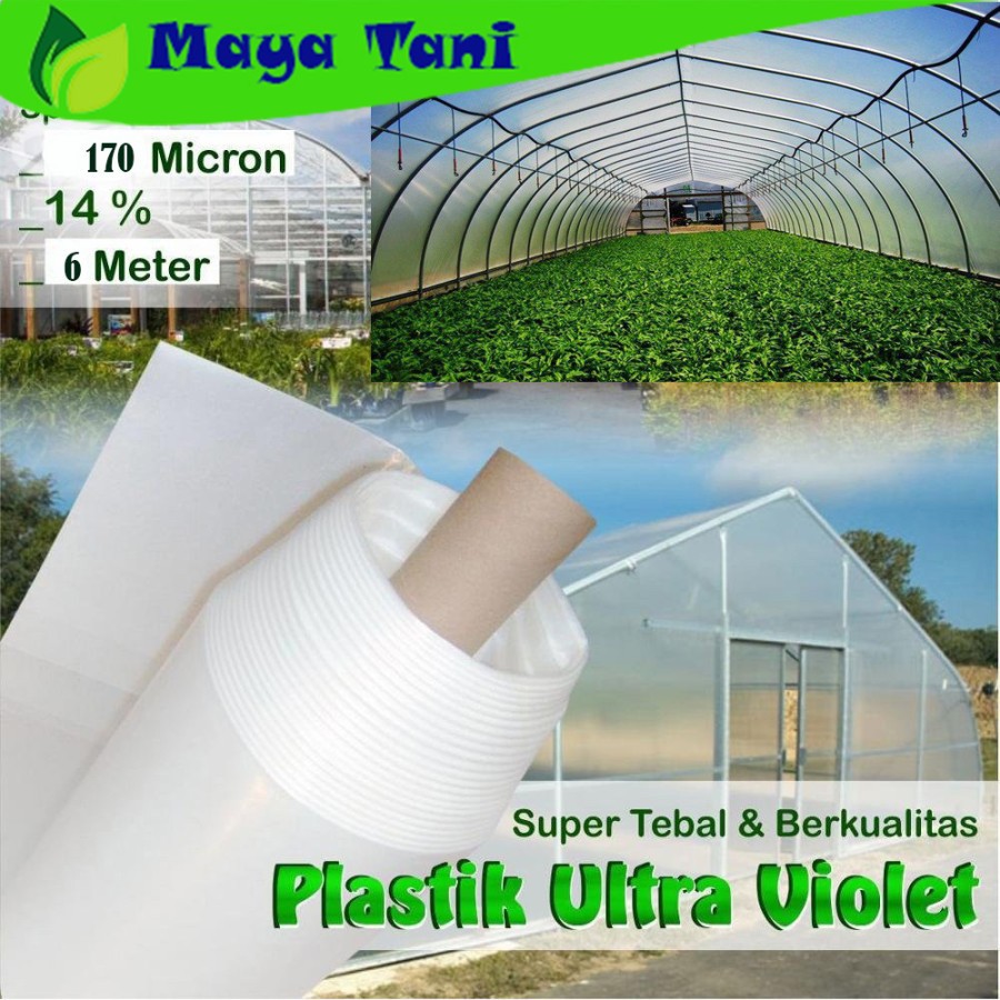 Jual Plastik UV Lebar 6 Meter 170 Micron 1 Rol | Shopee Indonesia