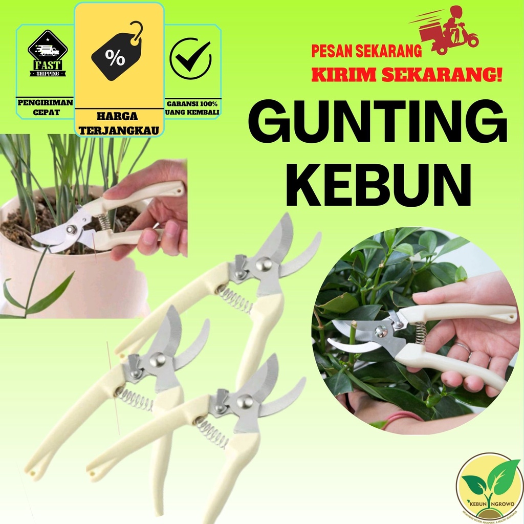 Jual GUNTING KEBUN TANAMAN GUNTING PRUNING RANTING GUNTING OKULASI ...