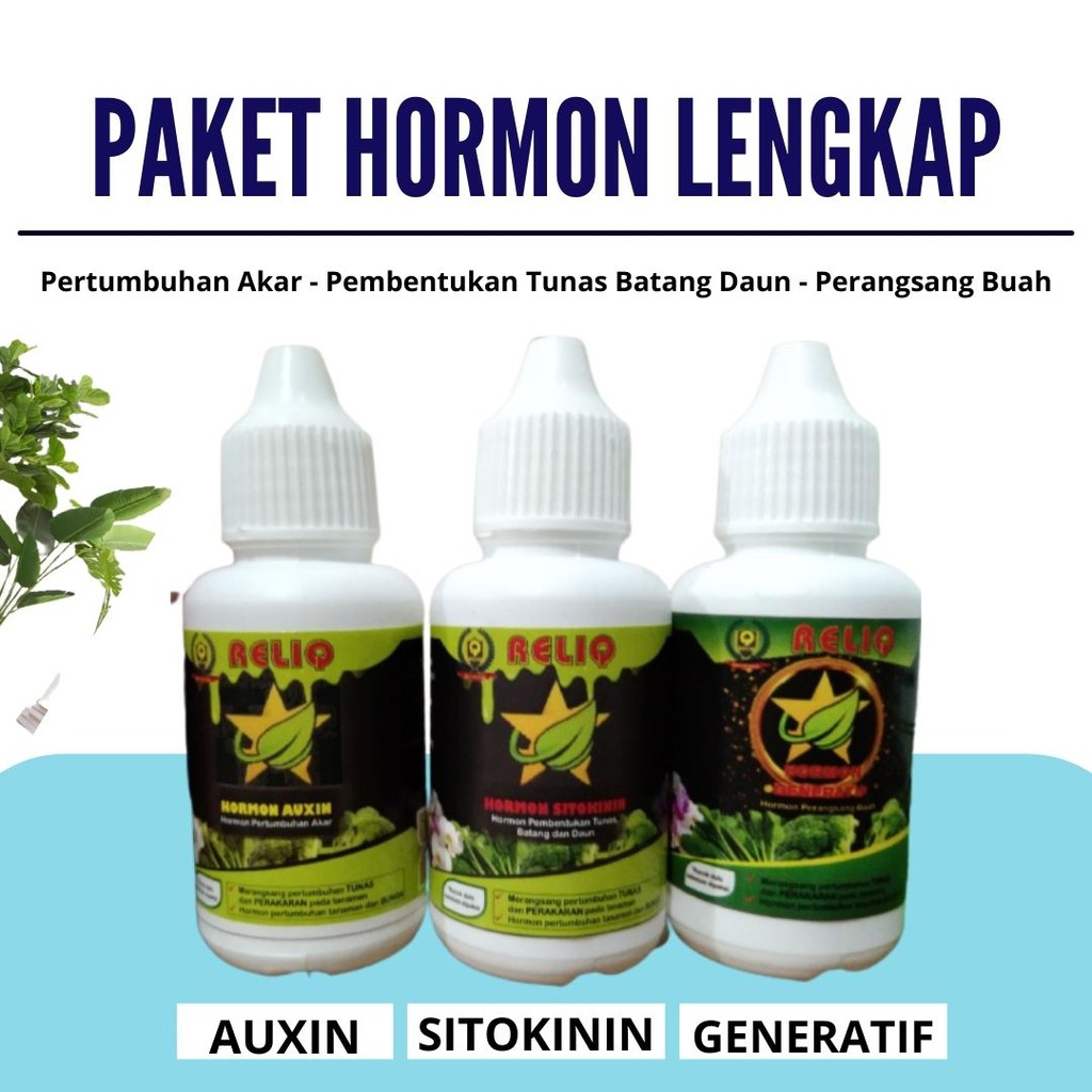 Jual PAKET Hormon Tanaman Auxin - Sitokinin - Generatif, RELIQ Pupuk ...