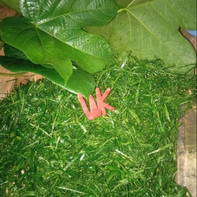 Jual Daong Pangi Daun Pangie Iris 2 KG | Shopee Indonesia