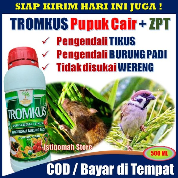 Jual Pupuk Cair TROMKUS + ZPT Obat Hama Tikus Padi Sawah, Pengendali ...