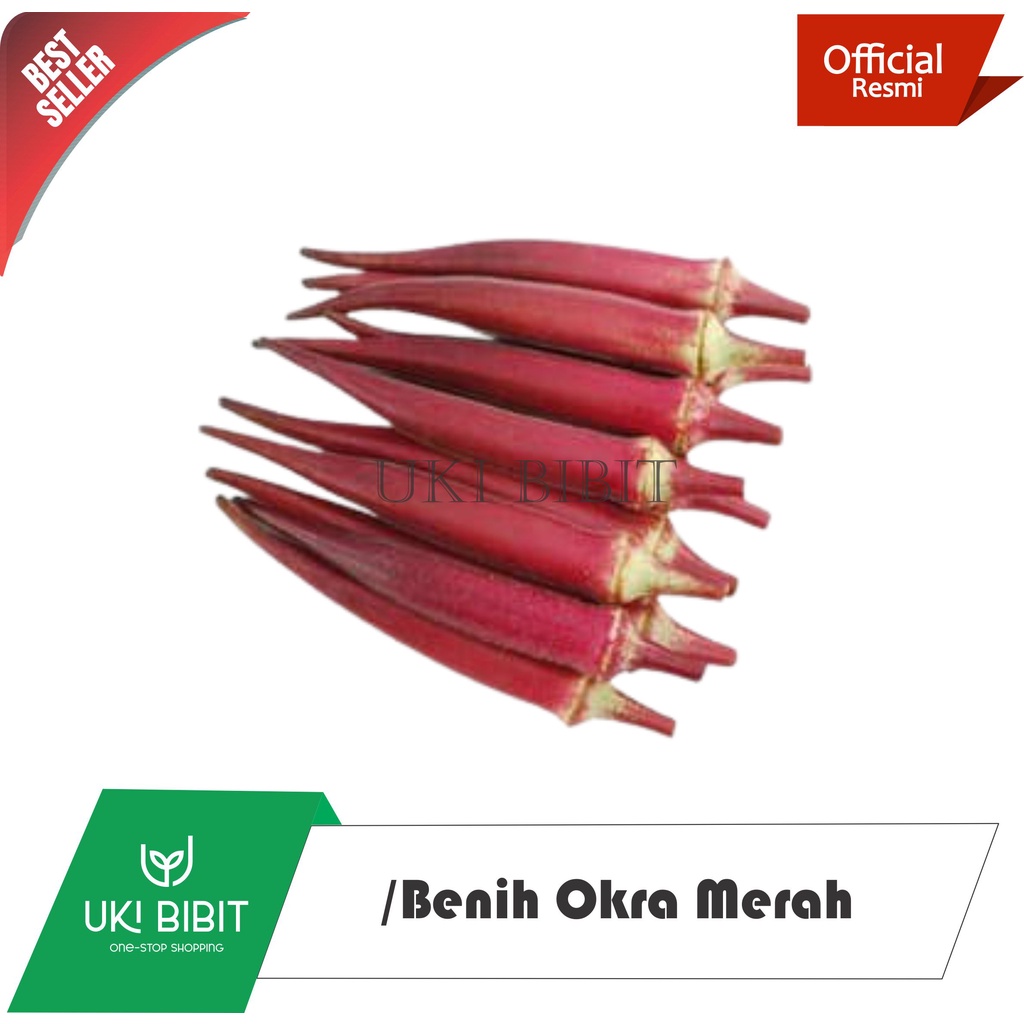 Jual ( 20 Butir ) Benih Okra Merah | Shopee Indonesia