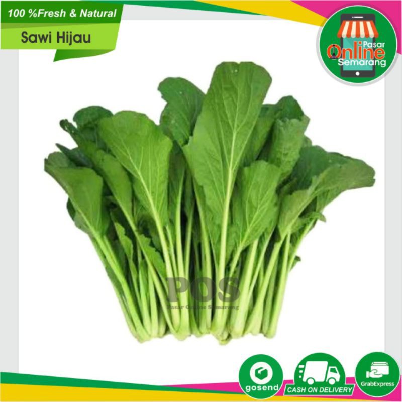 Jual Sayur Sawi / Sayuran Sawi Hijau / Sayuran Segar / Fresh / Sayur ...