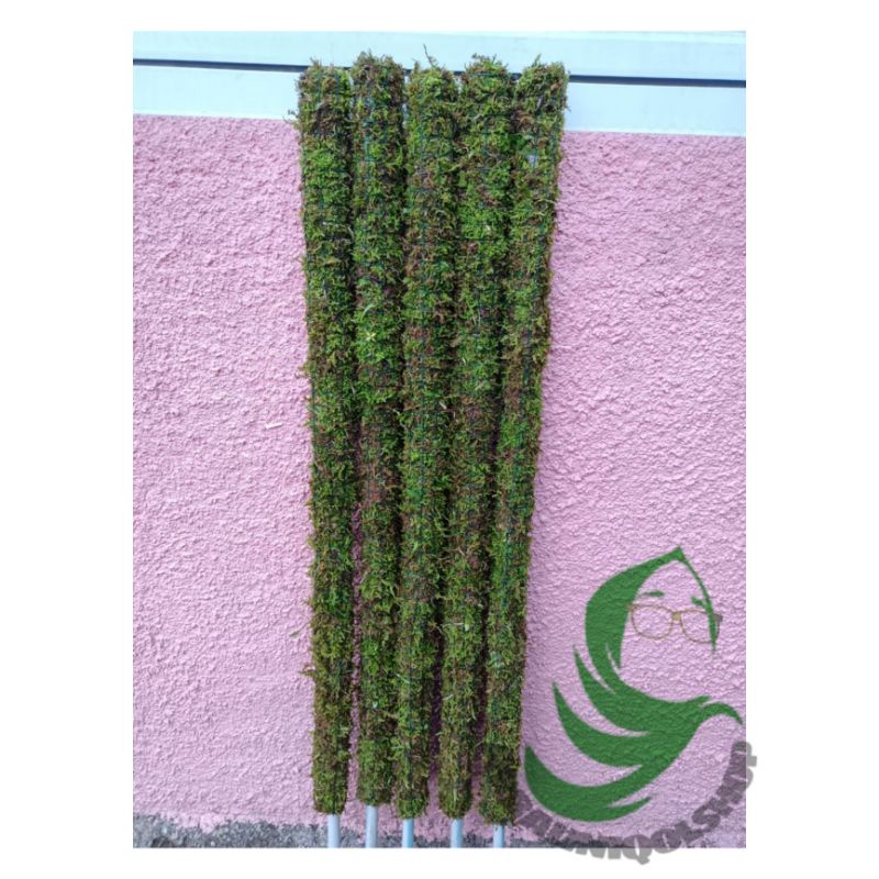 Jual Turus Lumut Ukuran 80cm Termurah | Shopee Indonesia