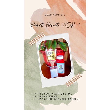 Jual Paket Hemat VLOR 250 ML | Shopee Indonesia