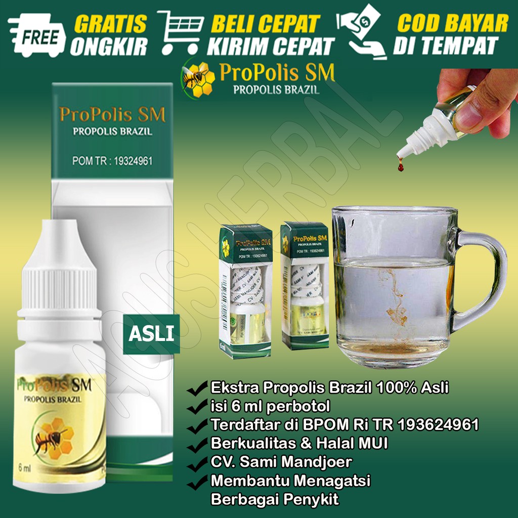 Jual Propolis SM Obat Tetes Telinga Bernanah, Obat Otitis Eksterna ...