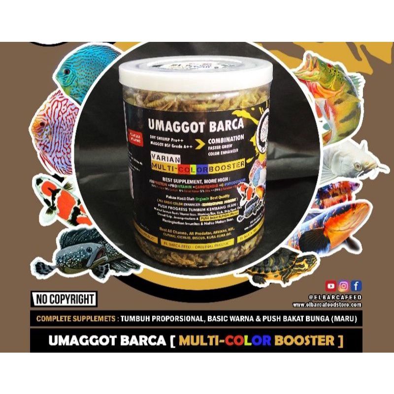 Jual PAKAN IKAN HIAS CHANA UMAGGOT BARCA [MULTI-COLOR BOOSTER MIX PAKAN ...
