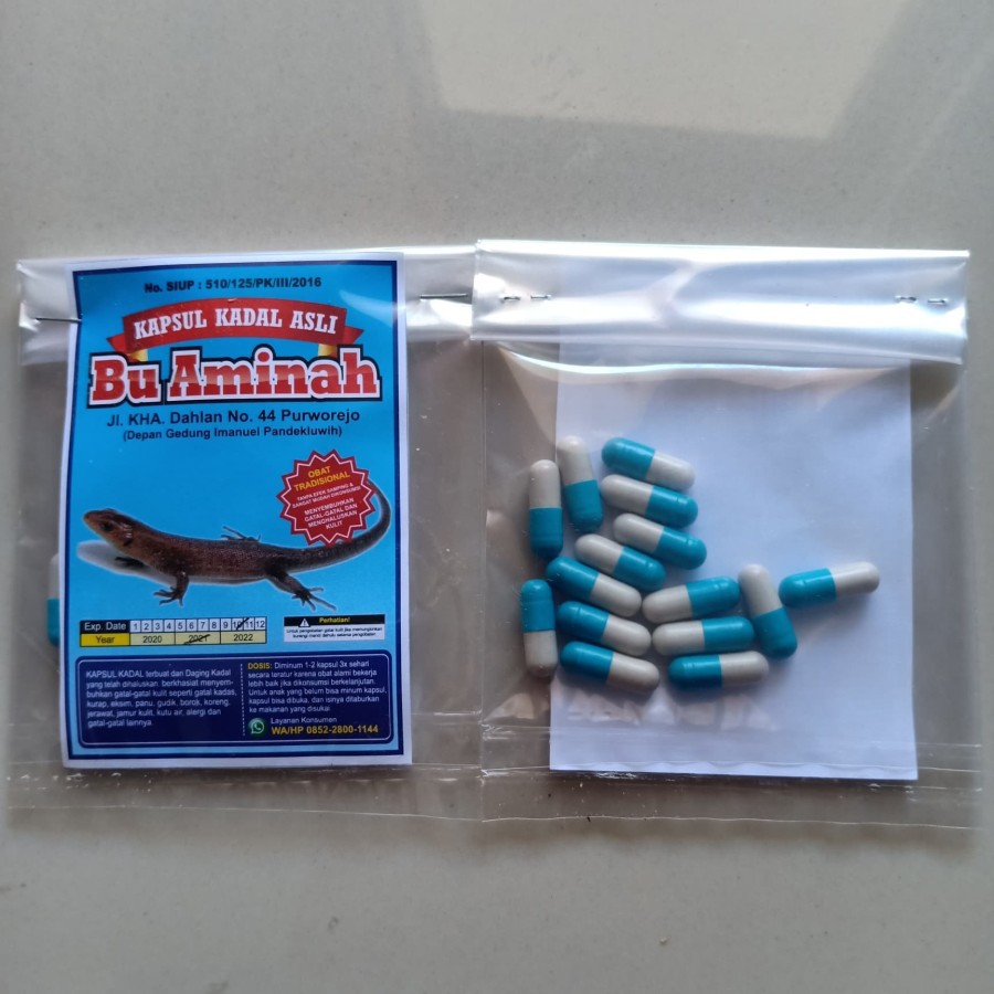 Jual KAPSUL KADAL ASLI OBAT GATAL ALERGI PANU KADAS KURAP PENYAKIT ...