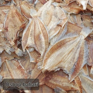 Jual Ikan Pihi Terlengkap & Harga Terbaru Januari 2026 | Shopee Indonesia