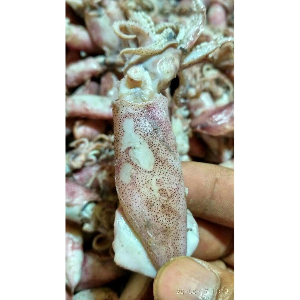 Jual Cumi Asin Telor 1/2kg | Shopee Indonesia