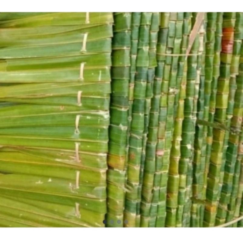 Jual atap dahon daun rumbia 10 pcs | Shopee Indonesia