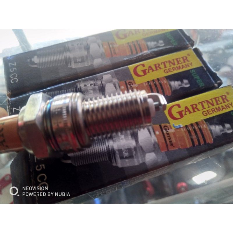Jual Busi gl tiger Gartner german | Shopee Indonesia