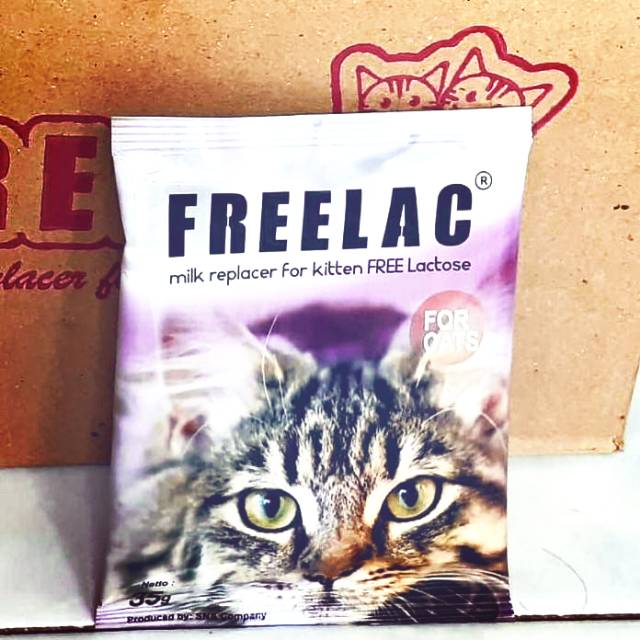 Jual SUSU KUCING TANPA LAKTOSA( ANTI MENCRET) | Shopee Indonesia