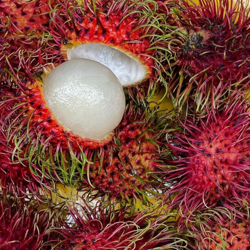Jual BUAH RAMBUTAN PER IKAT | Shopee Indonesia