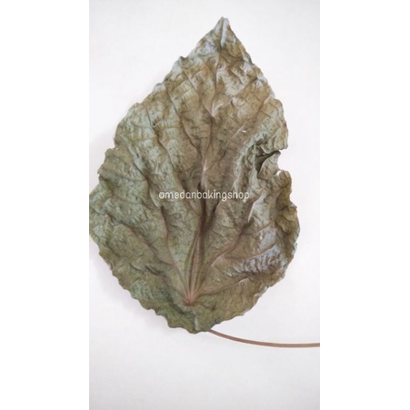 Jual 50gr Pakkua Hiok Original Wangi/Daun Pakkua/Pakwa Hiok/Daun Pakwa ...