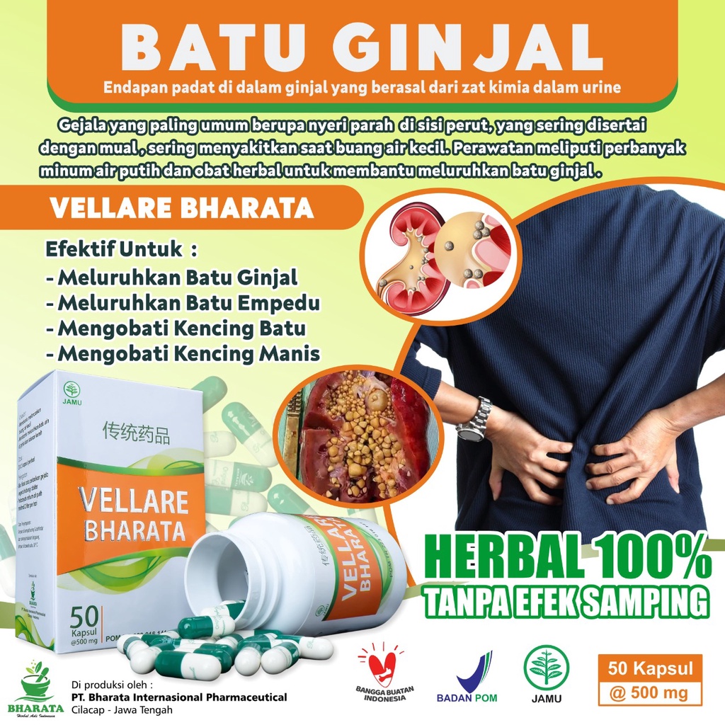 Jual obat batu empedu Dan Batu Ginjal paling ampuh tanpa operasi Apotik Bharata | Shopee Indonesia