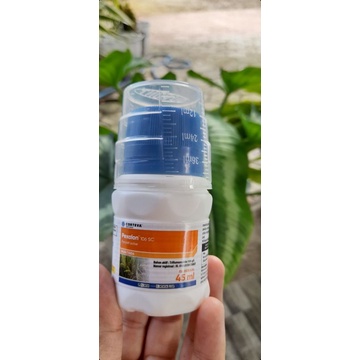 Jual PEXALONE 106SC 45ML | Shopee Indonesia