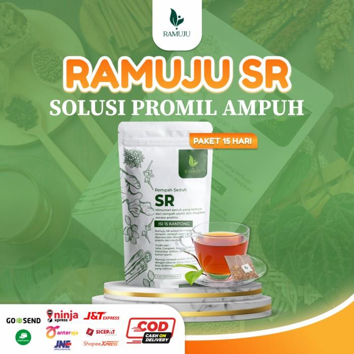 Jual Detox | Detox Rahim Jsr - Ramuju Sehat Rahim ( Paket 15 Hari ) | Shopee Indonesia