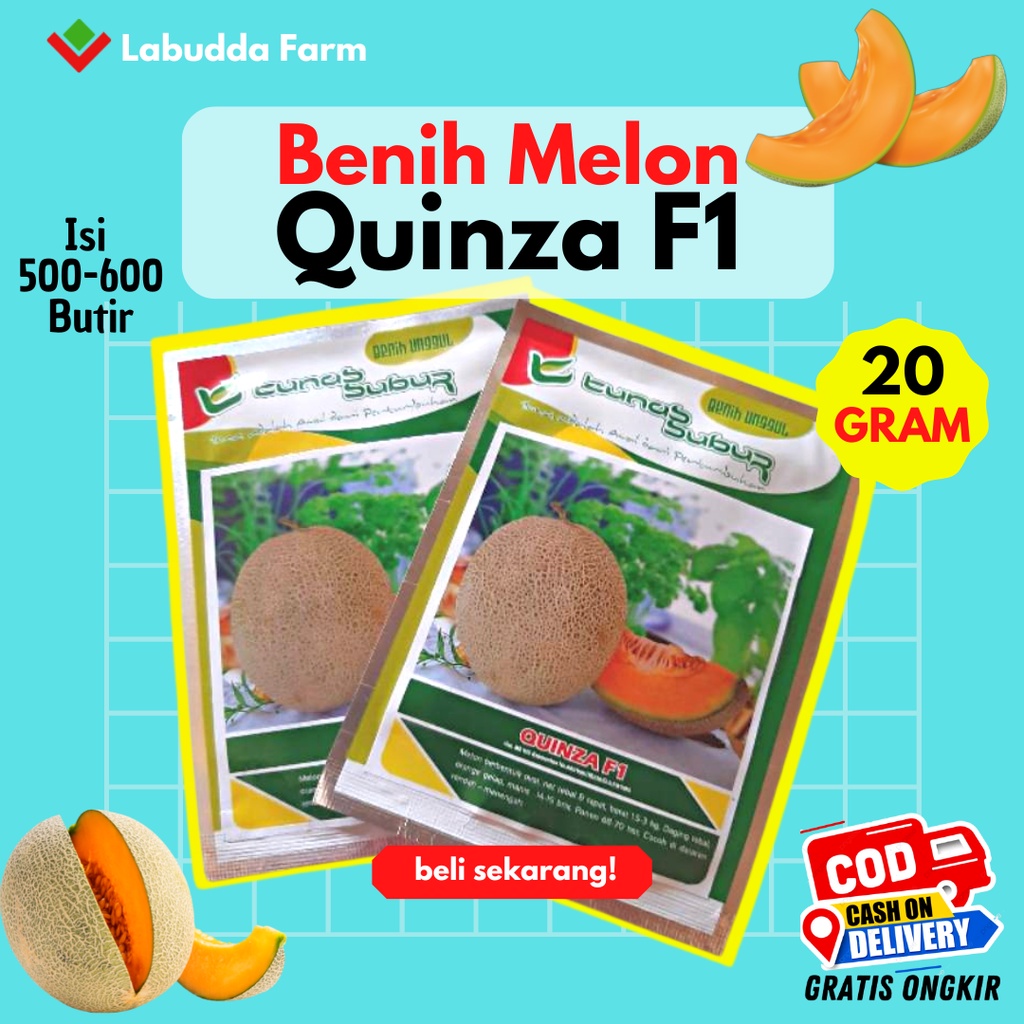 Jual Benih Melon Quinza F1 Isi 500-600 Butir - Benih Melon Hibrida ...