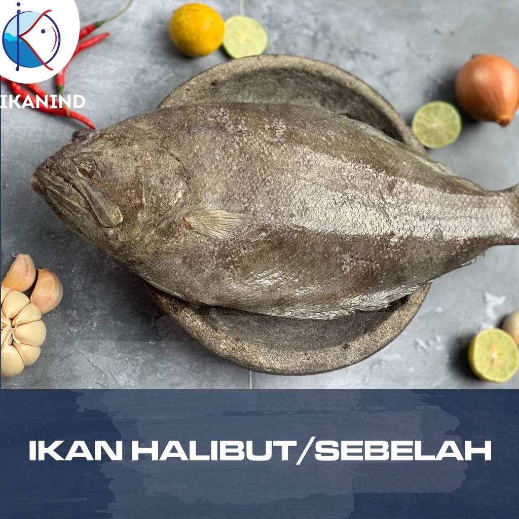 Jual Ikan Halibut atau Mata Sebelah / Ikan Laut Segar / Pack 1 KG ...