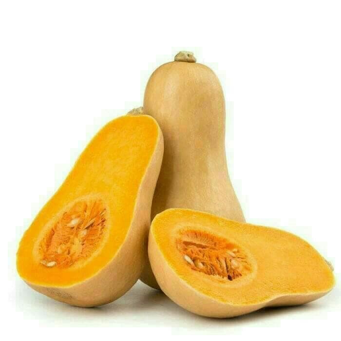 Jual Labu Madu/ Butternut 1 Pcs | Shopee Indonesia