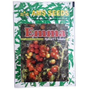 Jual AMS Seed Emma Hybrid F1 Tomato-Benih Tomat- 5 gr | Shopee Indonesia