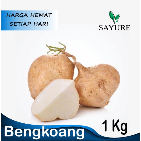 Jual BENGKOANG SUPER FRESH MURAH 1 KG | Shopee Indonesia