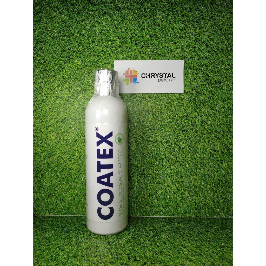Jual COATEX ALOE & OATMEAL SHAMPOO | Shopee Indonesia