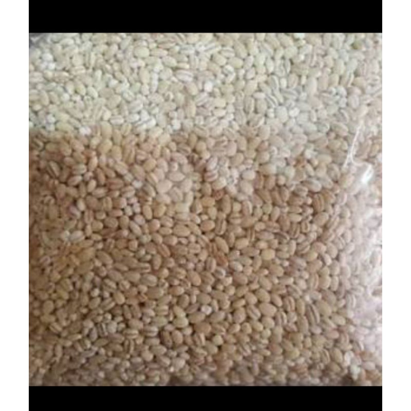 Jual Beras Jali / Pearl Barley 500 gram | Shopee Indonesia