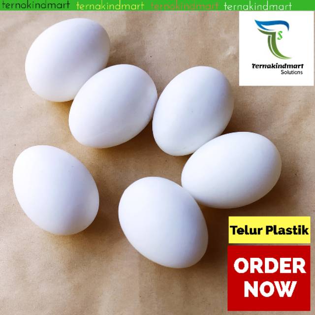Jual Telur Palsu Plastik Merpati | Shopee Indonesia