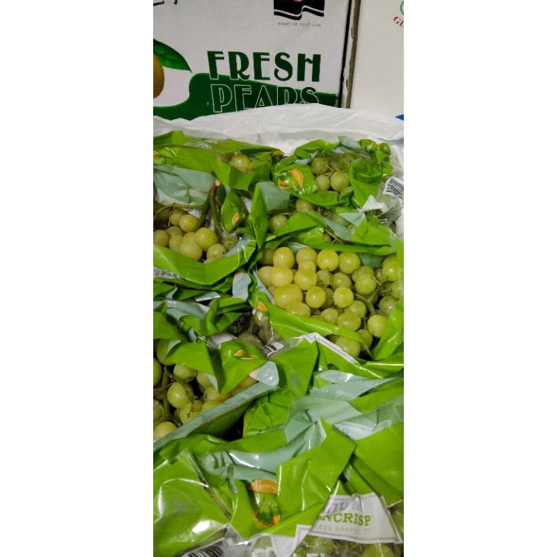 Jual Anggur Hijau GREEN GRAPESS AUTUMN CRISP SEEDLESS FRESH 1 Box 8 kg ...