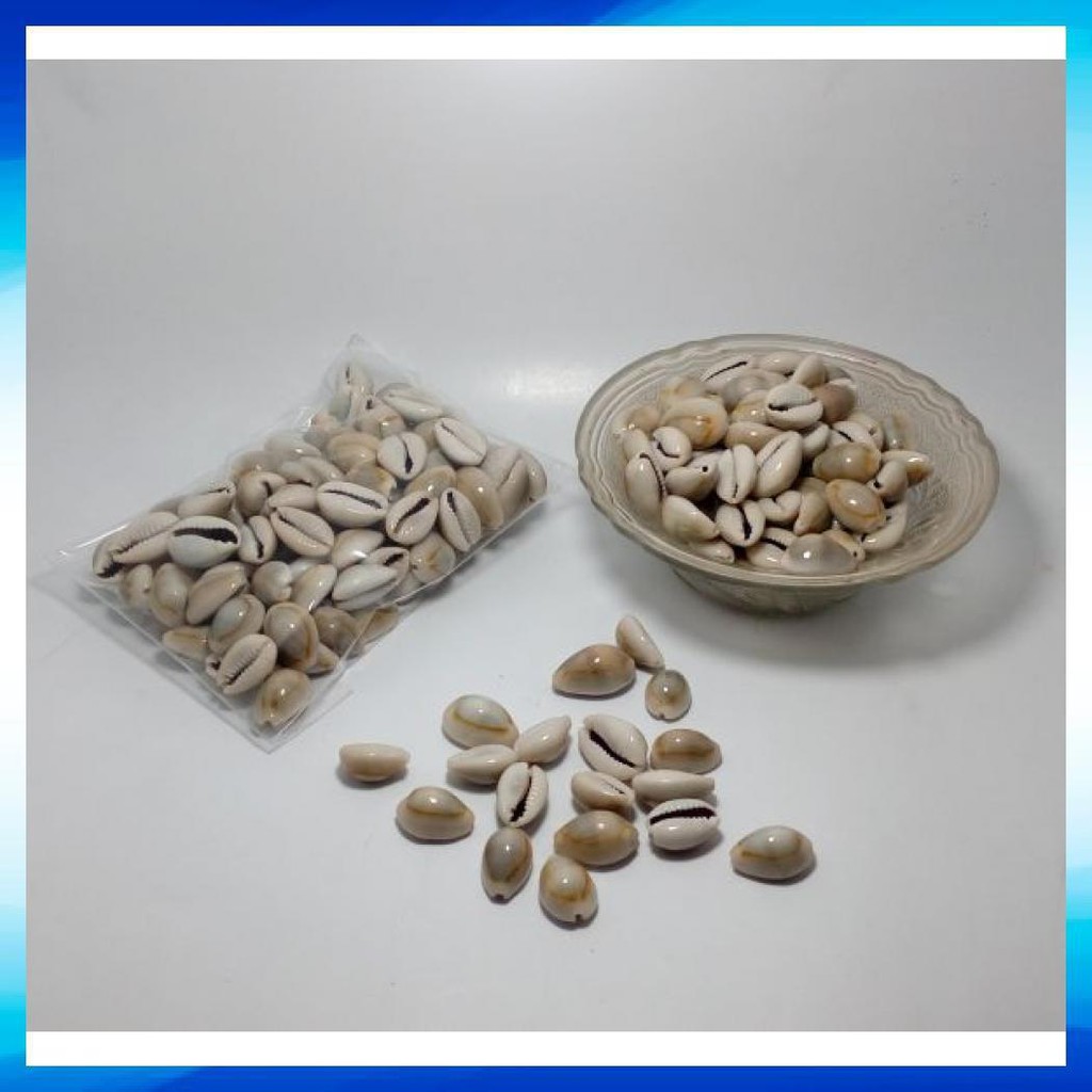 Jual KERANG BIJI CONGKLAK SATU SET PERLOBANG ISI 7 MAINAN TRADIDIONAL ...