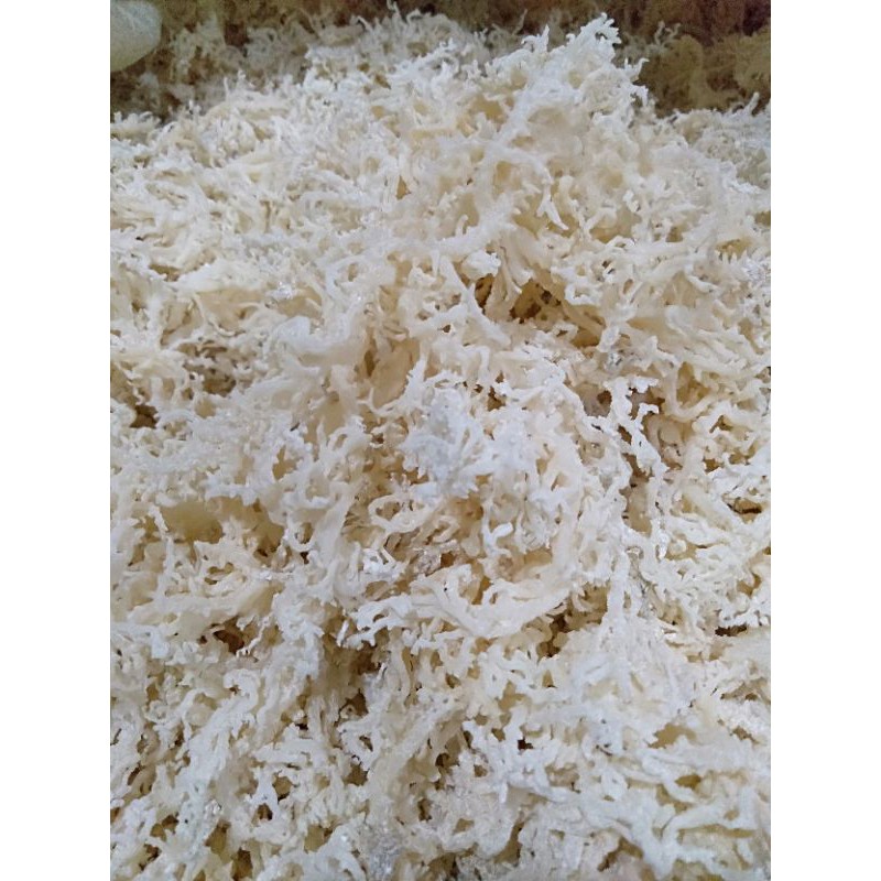 Jual Rumput Laut Kering Kemasan 500gr | Shopee Indonesia