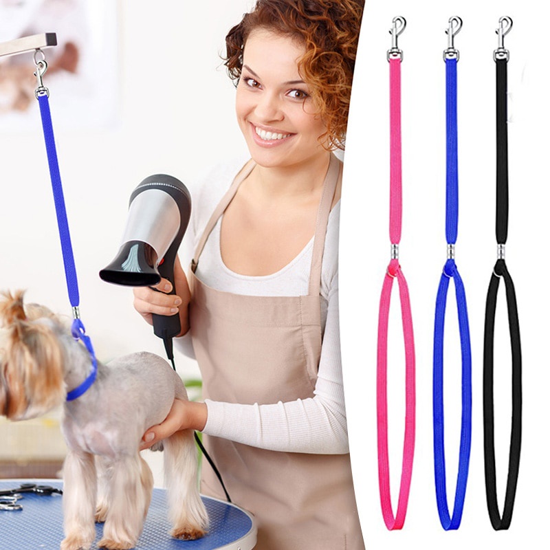 Jual Pet Grooming Leash Dog and Cat / Tali Meja Mandi Salon untuk Hewan ...