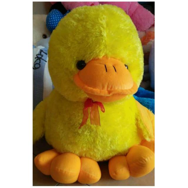 Jual BONEKA DUCK JUMBO BONEKQ BEBEK BESAR BONEKQ BEBEK GEDE BONEKA ...