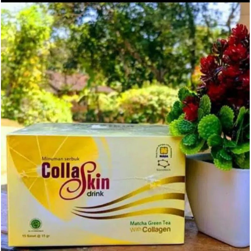 Jual COLLASKIN DRINK NASA ORIGINAL - CODRINK minuman collagen | Shopee ...