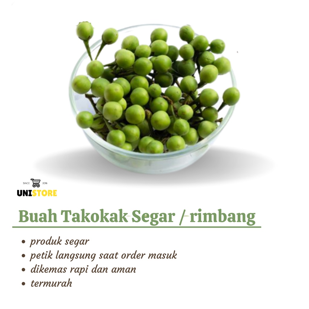Jual 1kg Buah Takokak Segar Tekokak terung pipit (solanum torvum ...