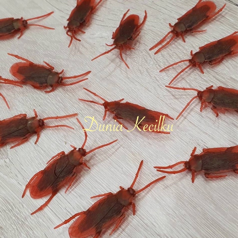 Jual Mainan Kecoa Karet Mainan Kucing Kecoa Bahan Karet | Shopee Indonesia